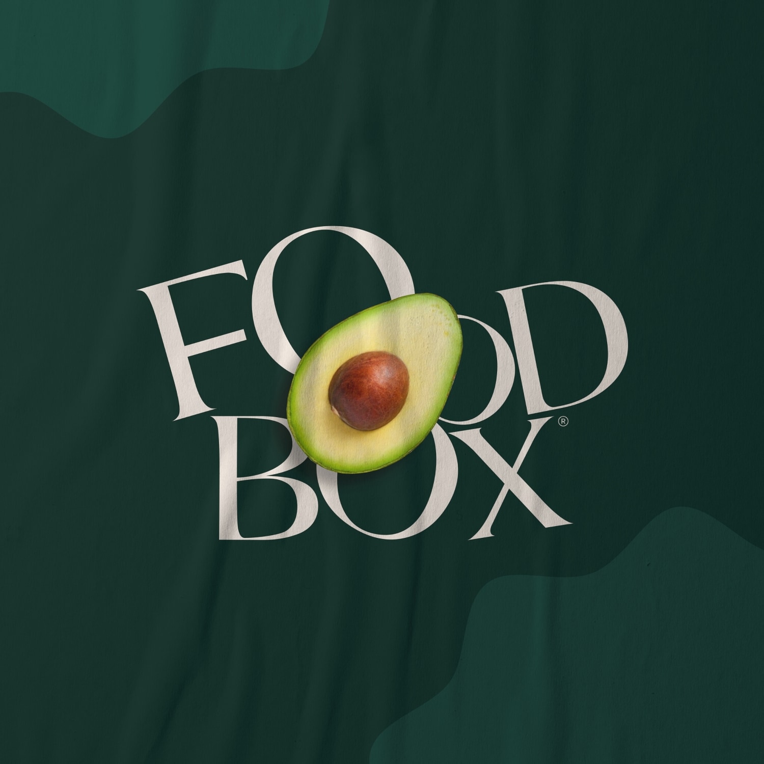 N4 Studio® | Web Design Agency, Auckland & Hamilton, NZ